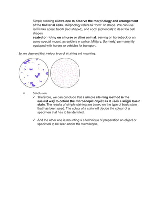 BIOLOGY LAB REPORT 2.docx