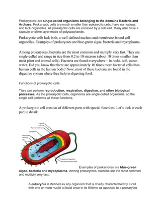 BIOLOGY LAB REPORT 2.docx