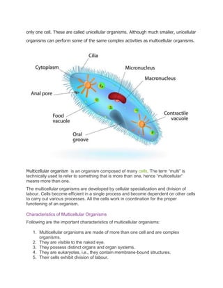 BIOLOGY LAB REPORT 2.docx