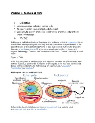 Plant Cell Lab Answers