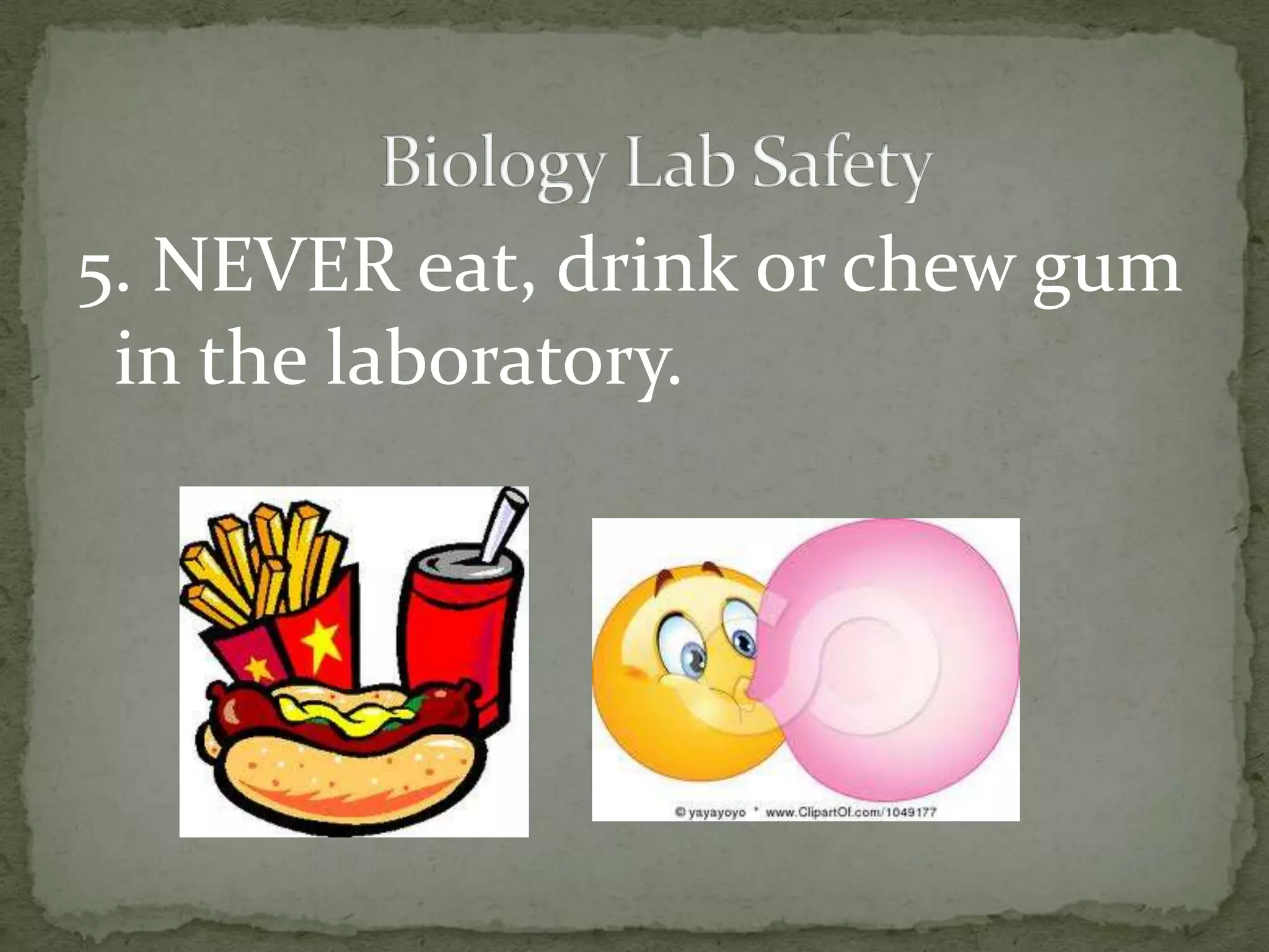Biology lab safety | PPTX