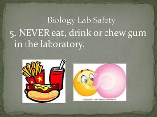 Biology lab safety | PPTX