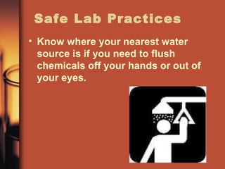 1.4 Biology Lab Safety | PPT