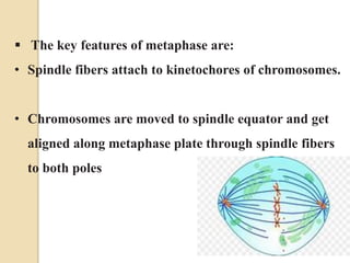 Biology lect. 3.pdf | Free Download