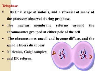 Biology lect. 3.pdf