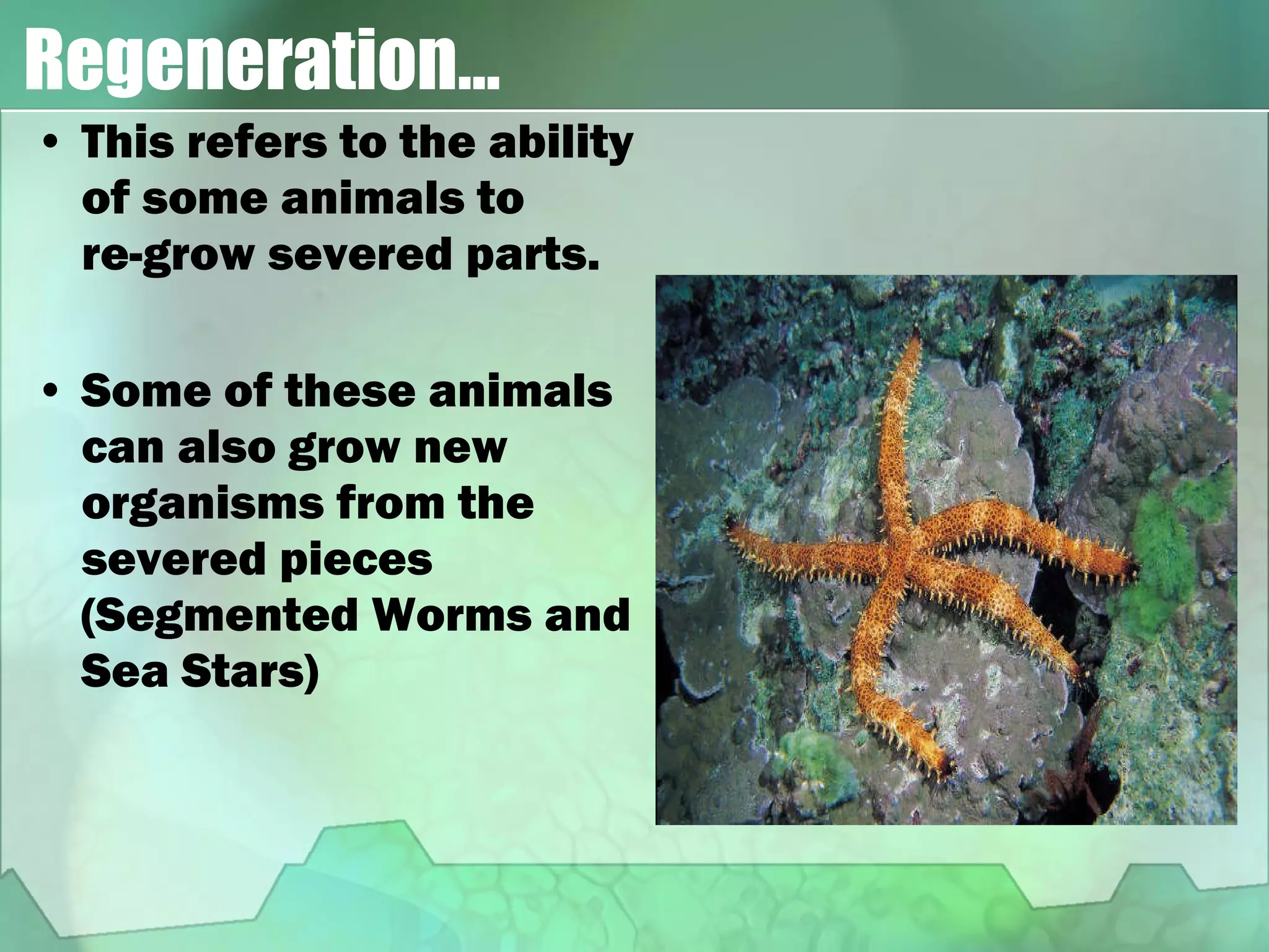 Biology lecture 7 | PPT