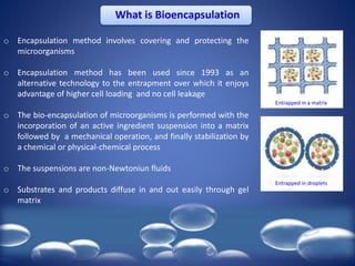 Microbial Encapsulation-An approach for enhancing Anaerobic Digestion ...