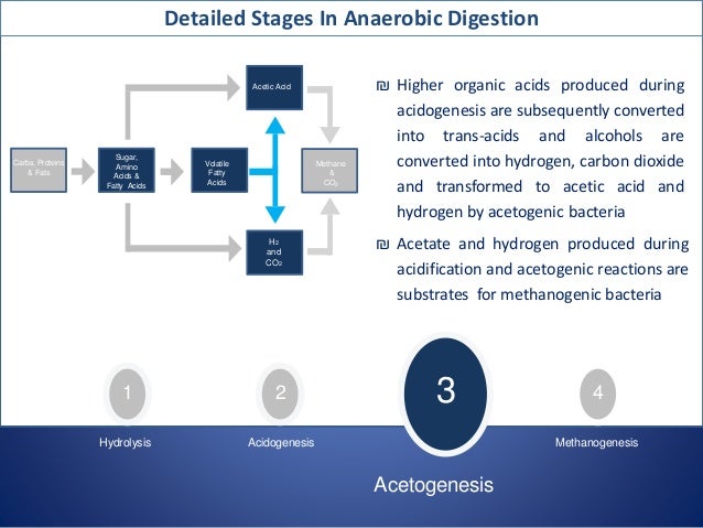 Microbial Encapsulation-An approach for enhancing Anaerobic Digestion…