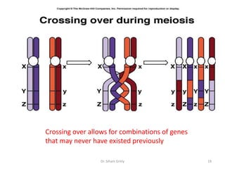 Biology lecture 7 how cell divided cell division 2 | PPTX