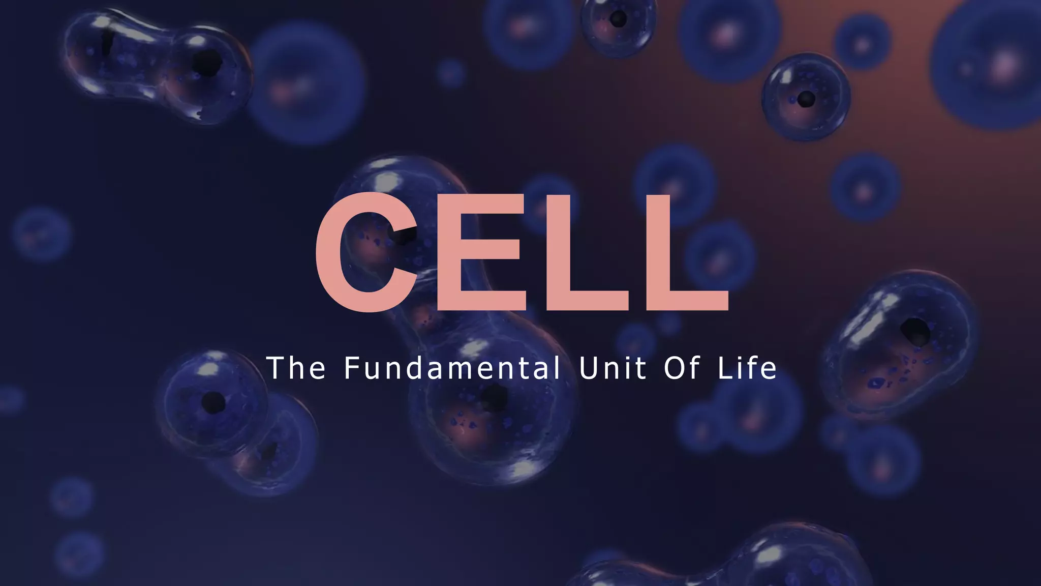 Biology lesson 1 " CELL THE FUNDAMENTAL UNIT OF LIFE " | PPTX