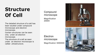 Biology lesson 1 " CELL THE FUNDAMENTAL UNIT OF LIFE " | PPTX
