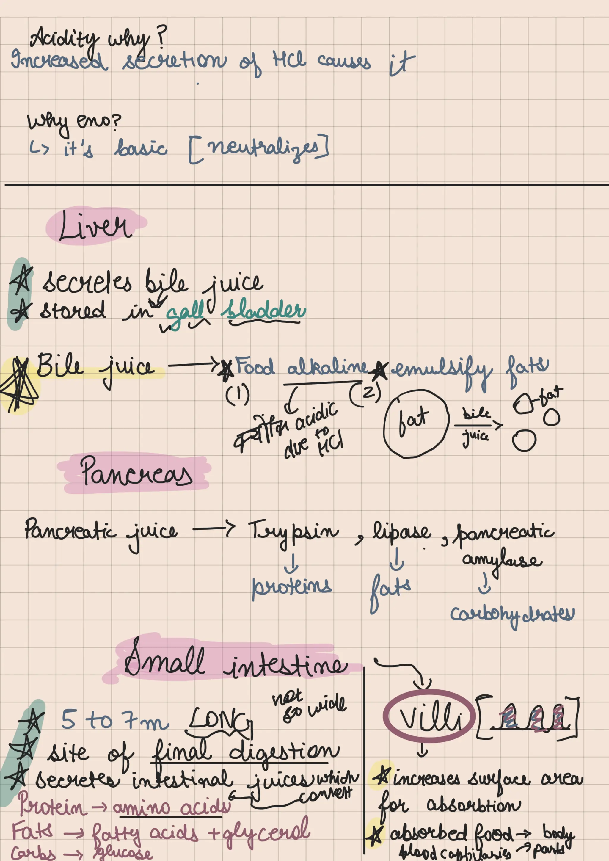 Biology Life Processes Class 10 notes.pdf