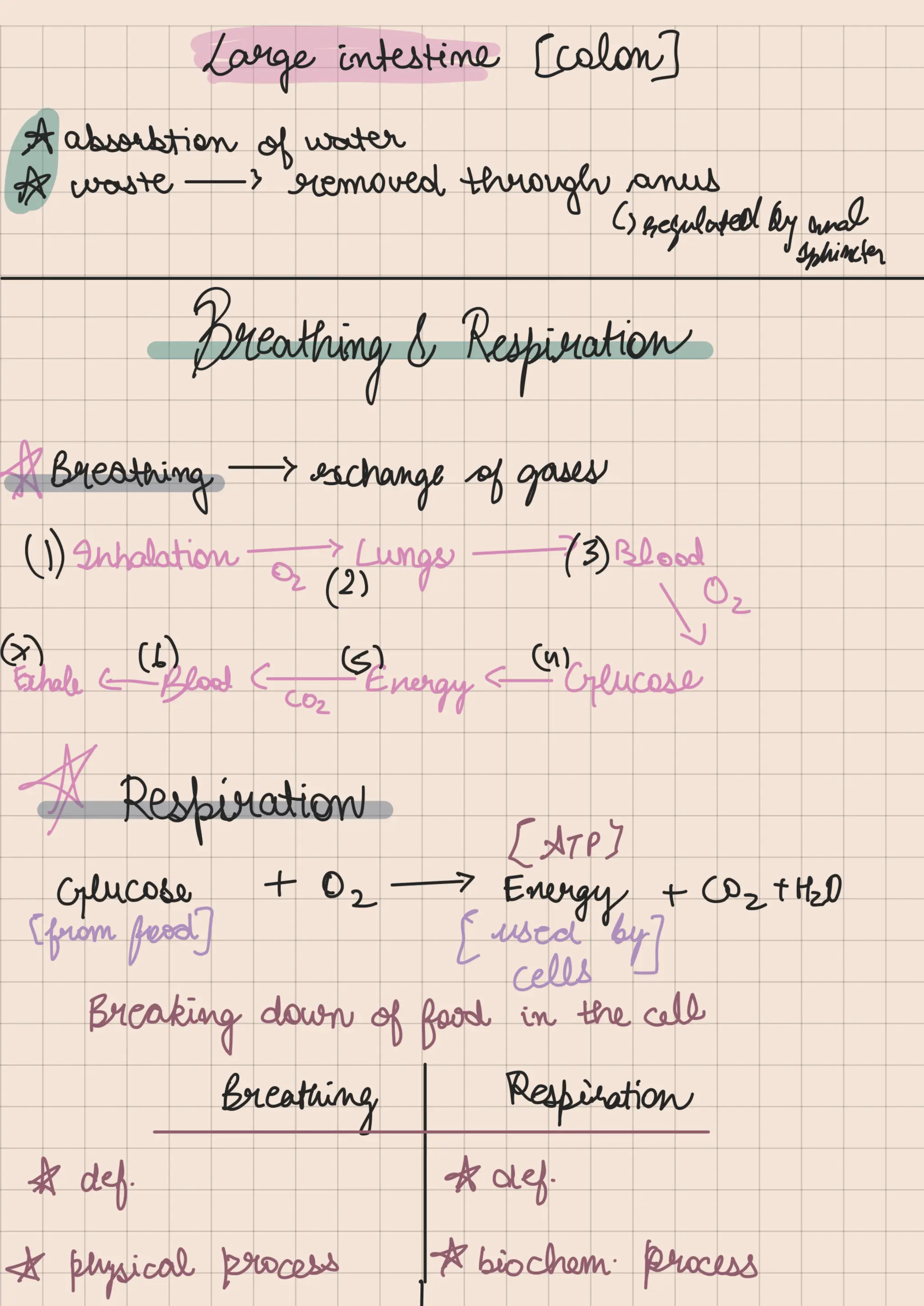 Biology Life Processes Class 10 notes.pdf
