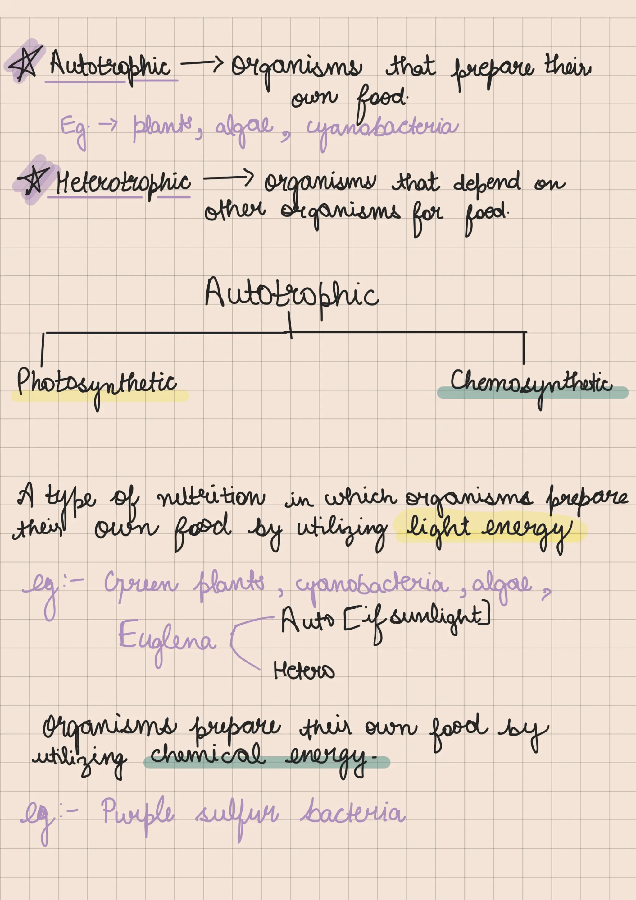 Biology Life Processes Class 10 notes.pdf