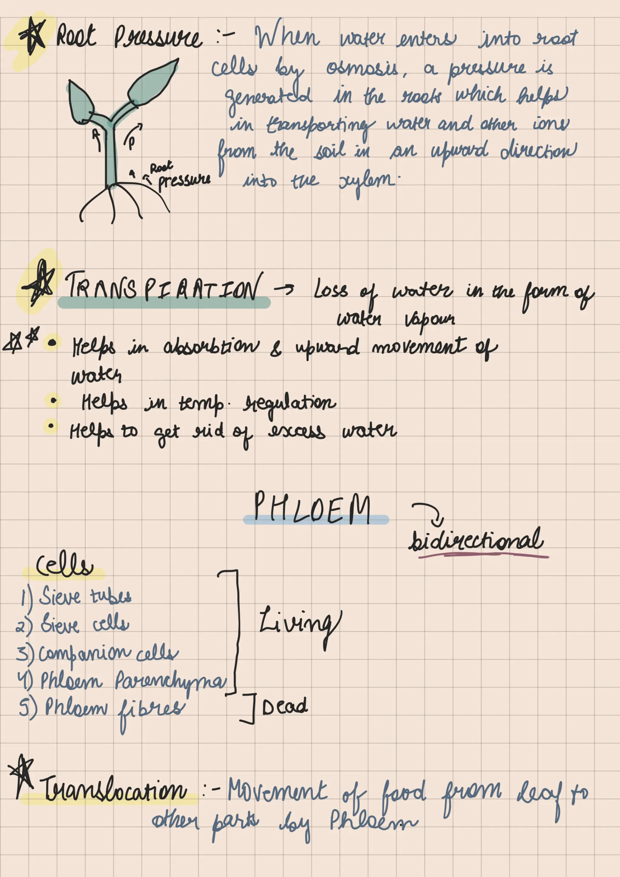 Biology Life Processes Class 10 notes.pdf