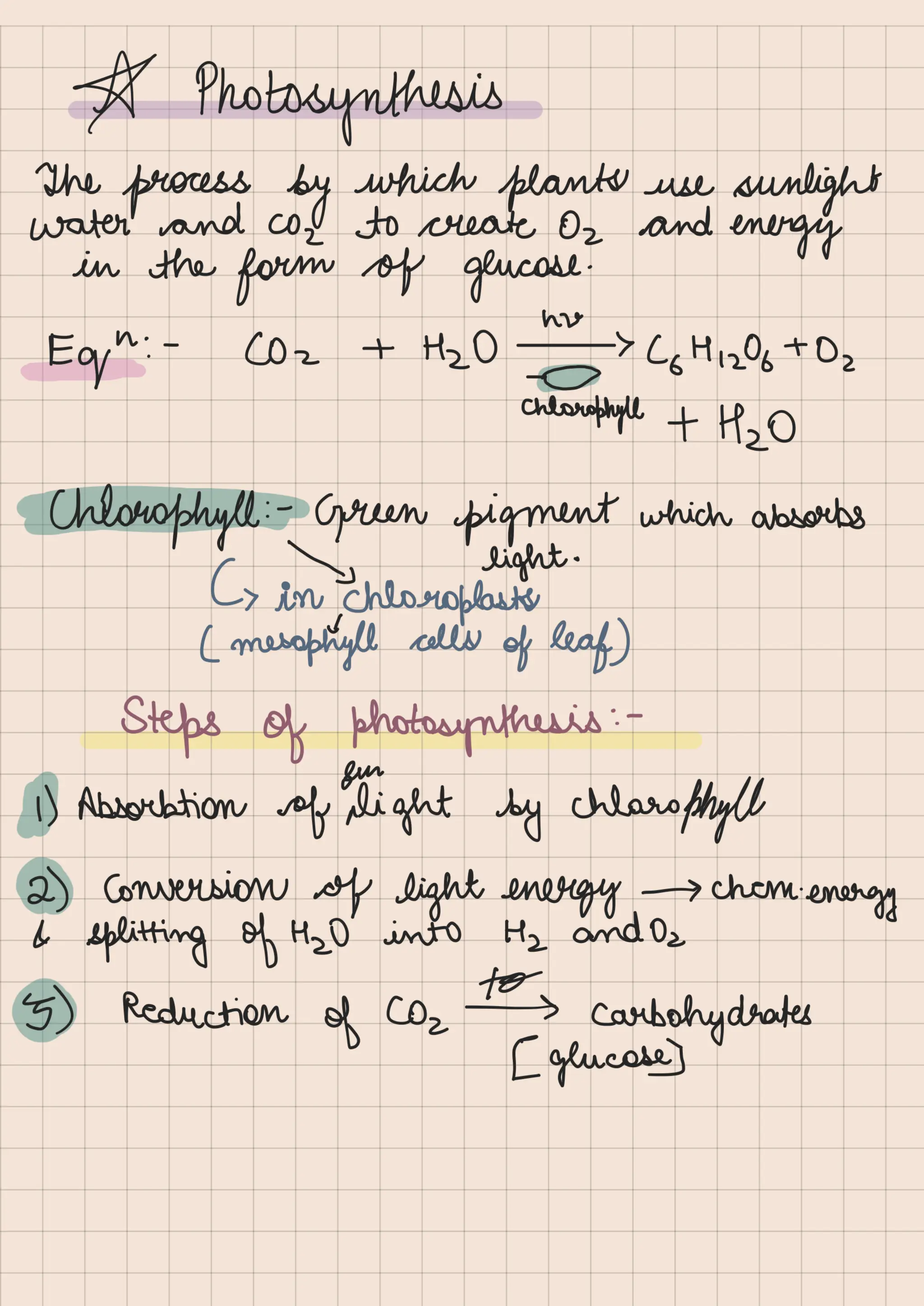 Biology Life Processes Class 10 notes.pdf