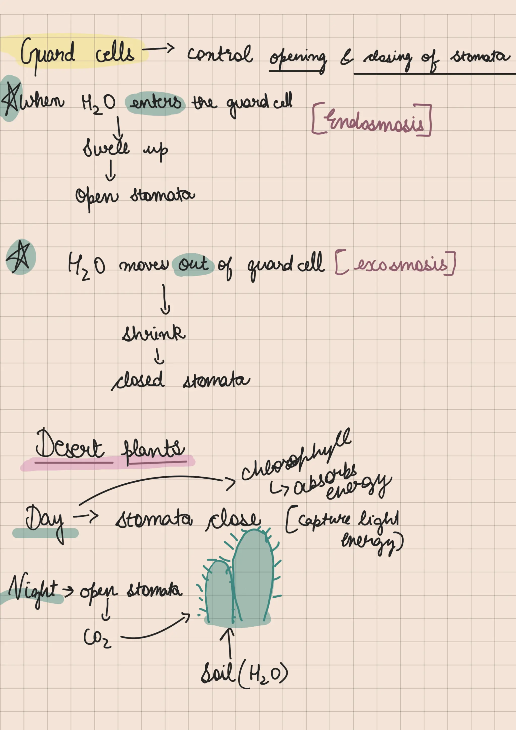 Biology Life Processes Class 10 notes.pdf