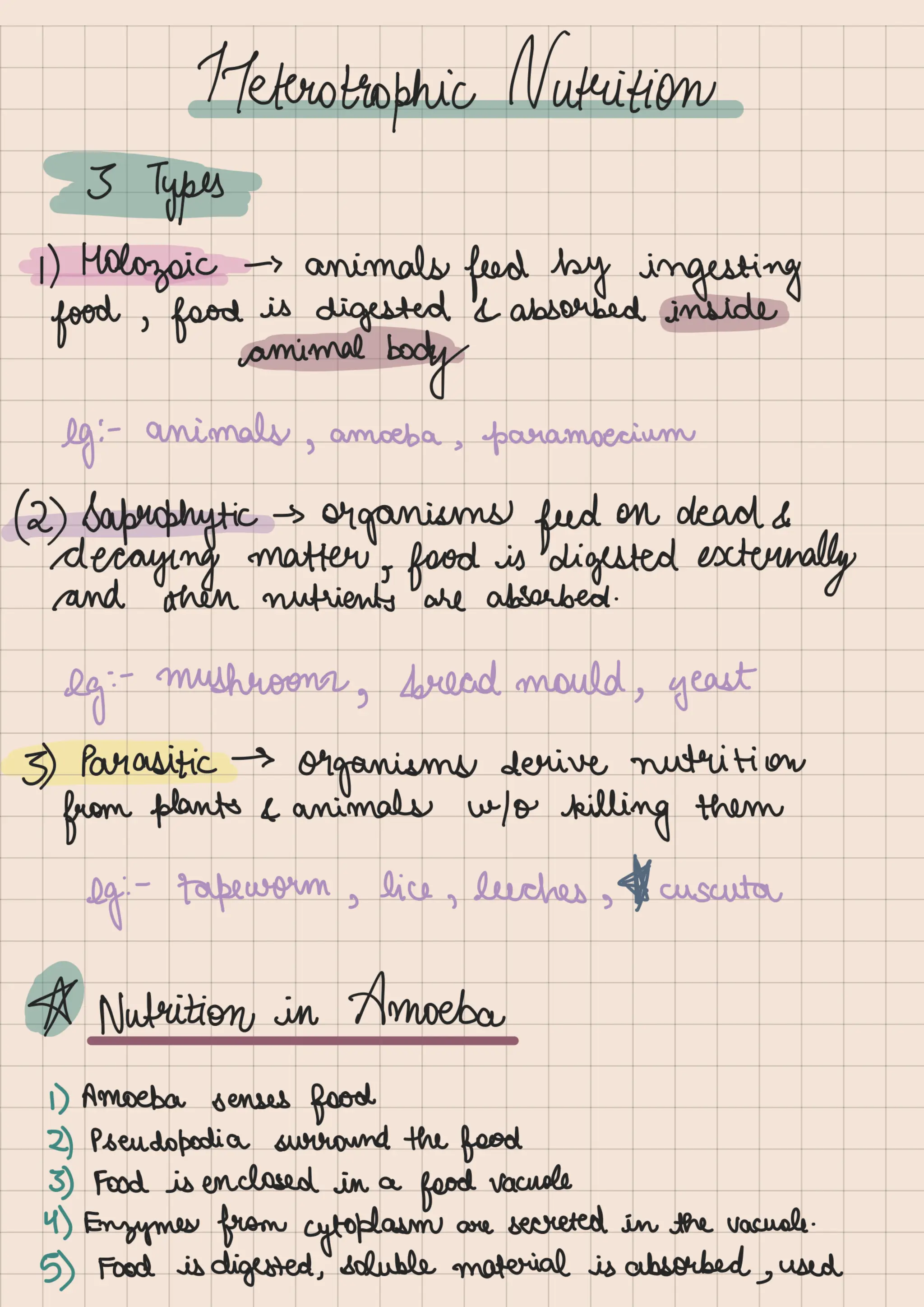 Biology Life Processes Class 10 notes.pdf