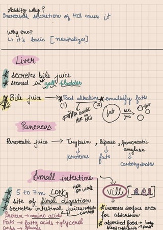 Biology Life Processes Class 10 notes.pdf