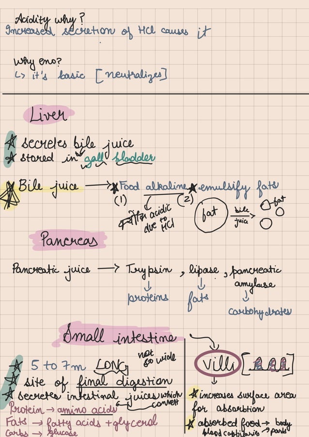 Biology Life Processes Class 10 notes.pdf