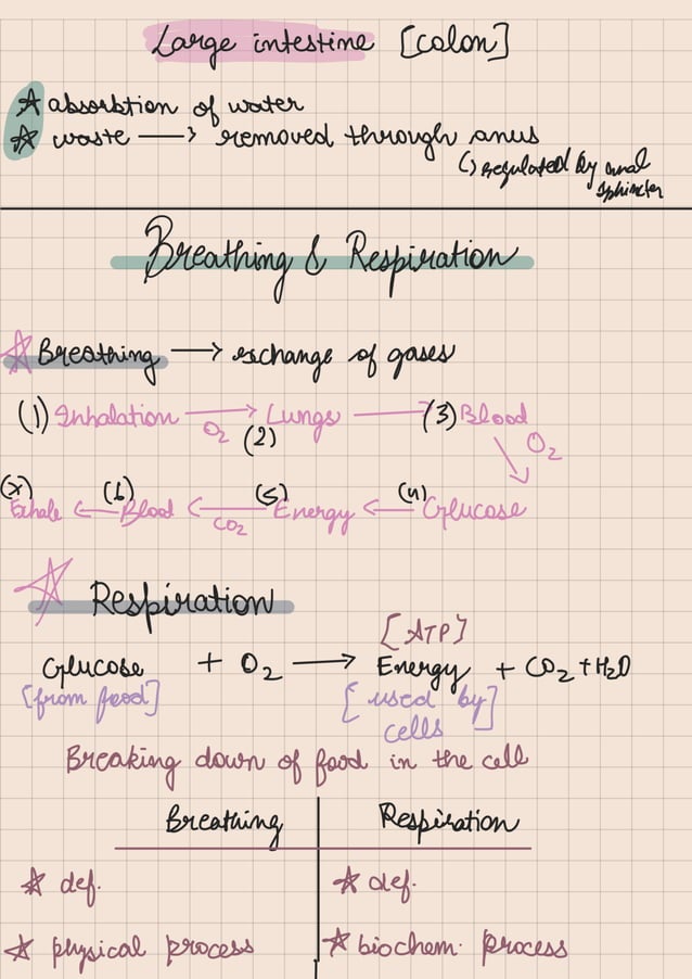 Biology Life Processes Class 10 notes.pdf