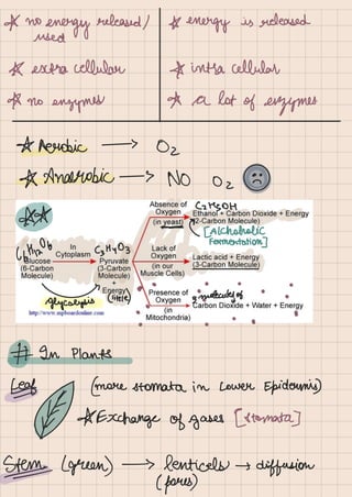 Biology Life Processes Class 10 notes.pdf