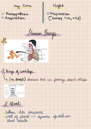 Biology Life Processes Class 10 notes.pdf | Secondary Education | Education