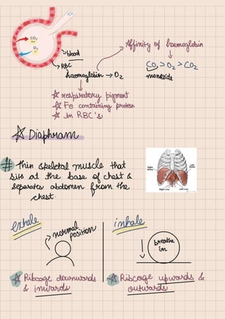 Biology Life Processes Class 10 notes.pdf