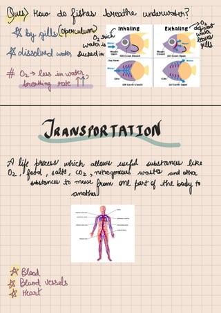 Biology Life Processes Class 10 notes.pdf