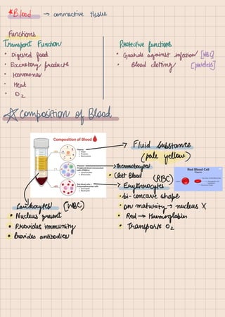 Biology Life Processes Class 10 notes.pdf