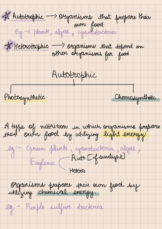 Biology Life Processes Class 10 notes.pdf