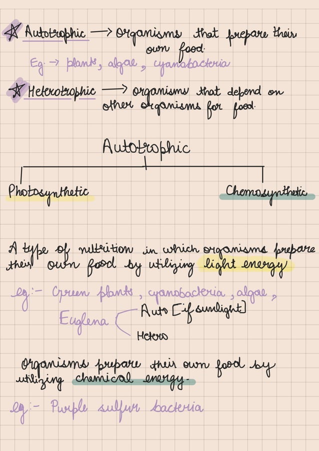 Biology Life Processes Class 10 notes.pdf