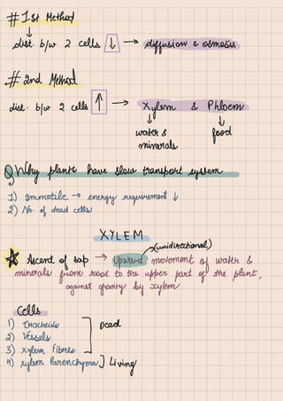 Biology Life Processes Class 10 notes.pdf