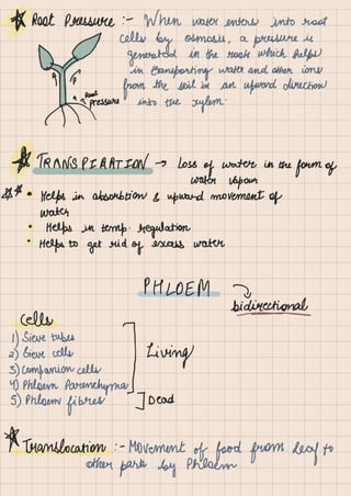 Biology Life Processes Class 10 notes.pdf