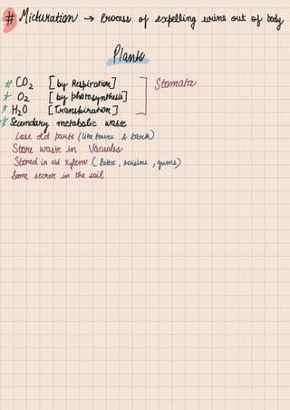 Biology Life Processes Class 10 notes.pdf