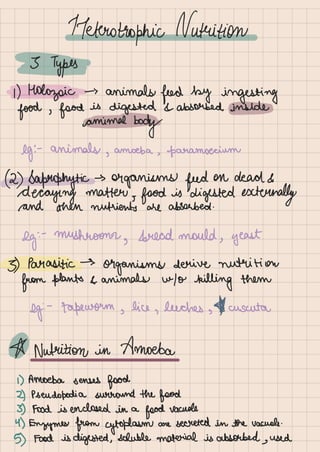 Biology Life Processes Class 10 notes.pdf