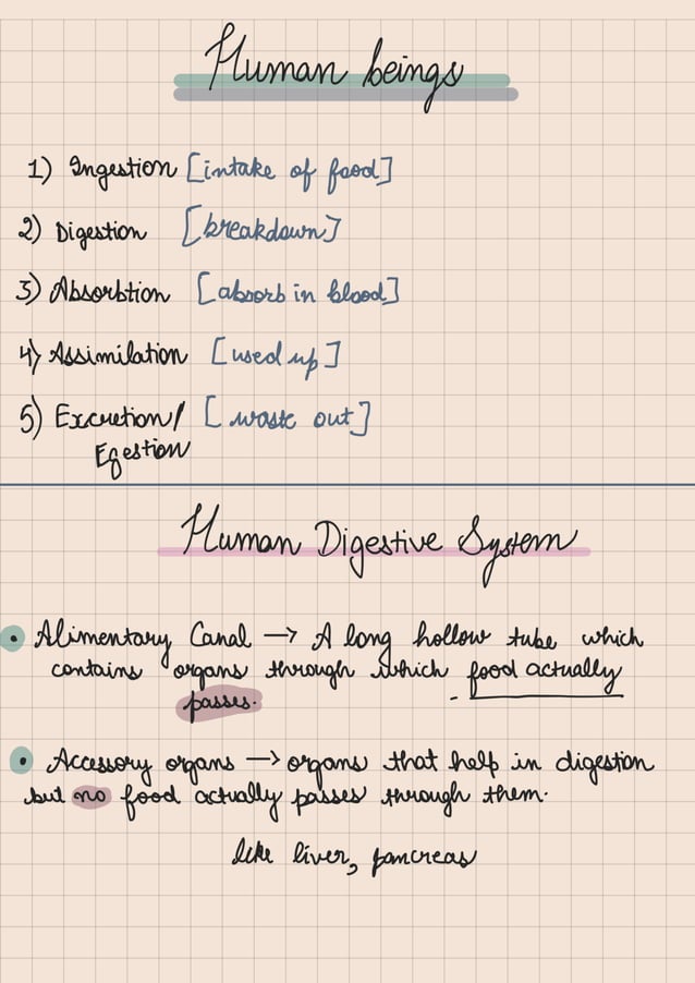 Biology Life Processes Class 10 notes.pdf