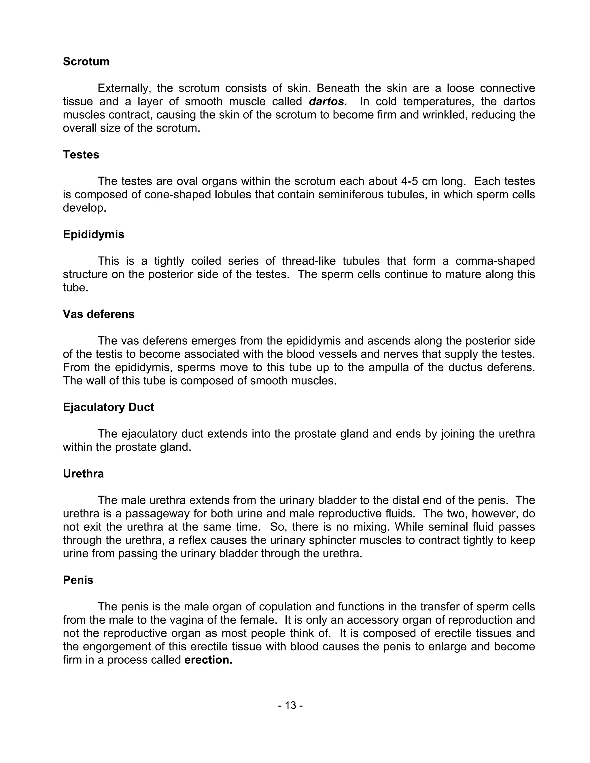 Biology m13 human reproductive system | PDF