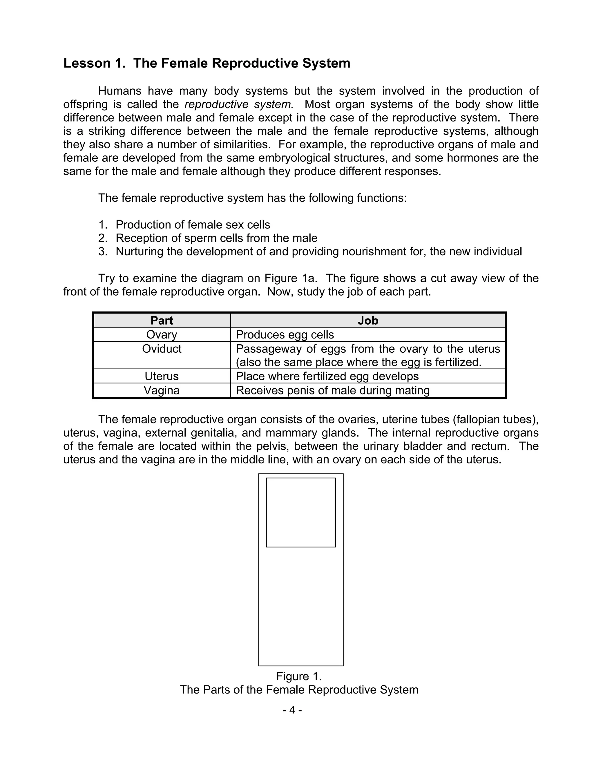 Biology m13 human reproductive system | PDF