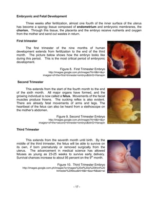 Biology m13 human reproductive system | PDF