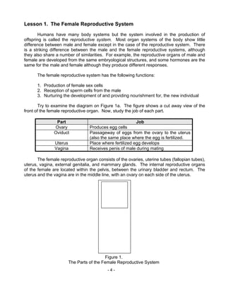 Biology m13 human reproductive system | PDF