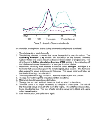 Biology m13 human reproductive system | PPT
