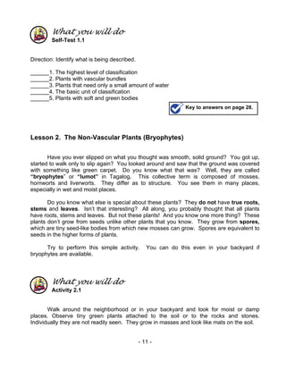 Biology m16 diversity of plants | PDF