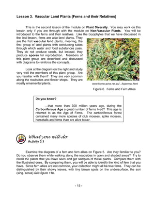 Biology m16 diversity of plants | PDF