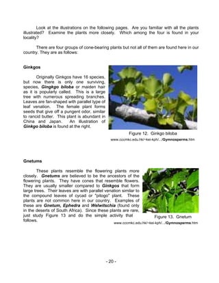 Biology m16 diversity of plants | PDF