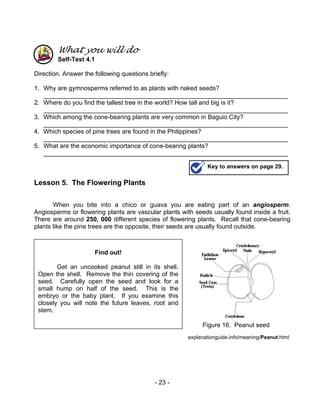 Biology m16 diversity of plants | PDF