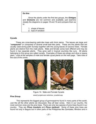 Biology m16 diversity of plants | PDF