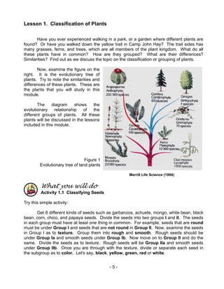 Biology m16 diversity of plants | PDF