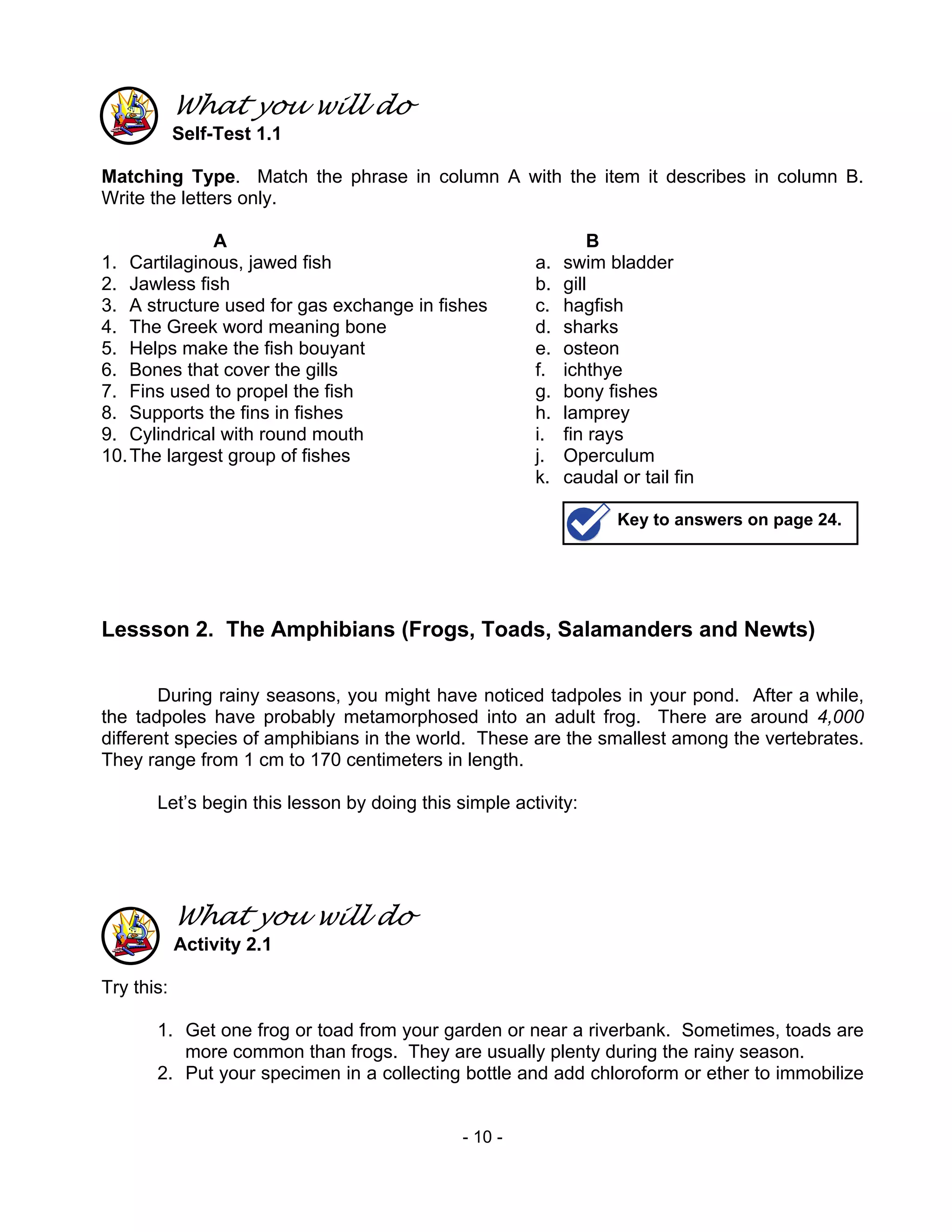 Biology m18 animals with backbones | PDF