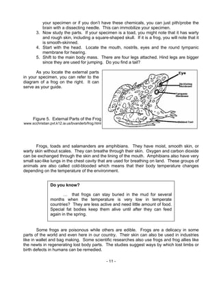 Biology m18 animals with backbones | PDF
